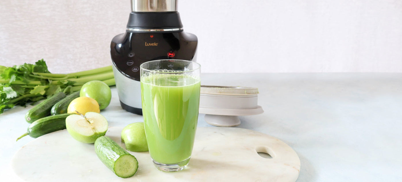 Luvele Stainless Steel Blender High Speed & Powerful - Luvele AU